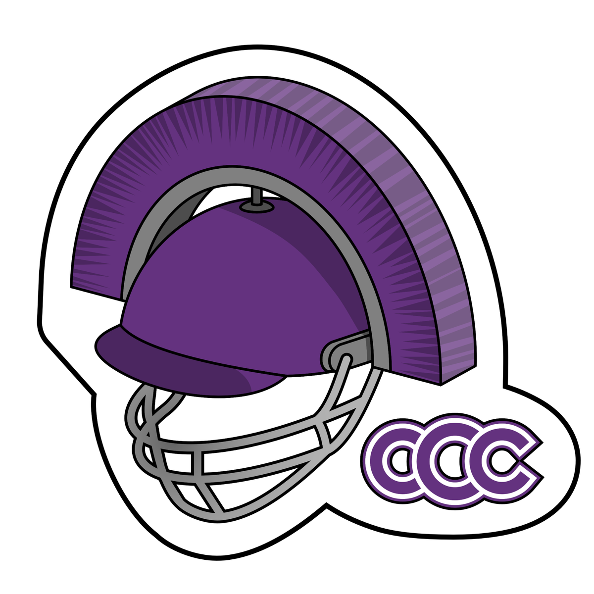 Meet the Team | Qualified Cricket Coaches